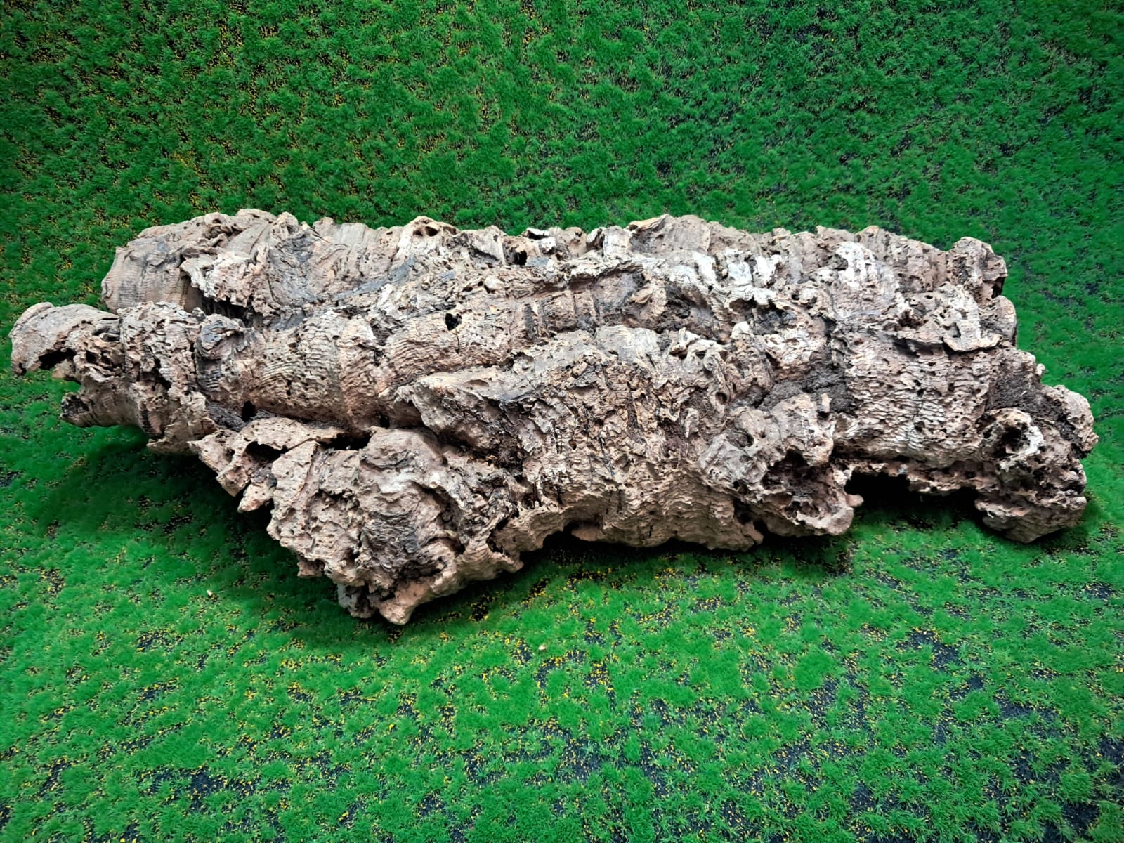Cork Bark - Reptile Decor | Oh My Cresticles