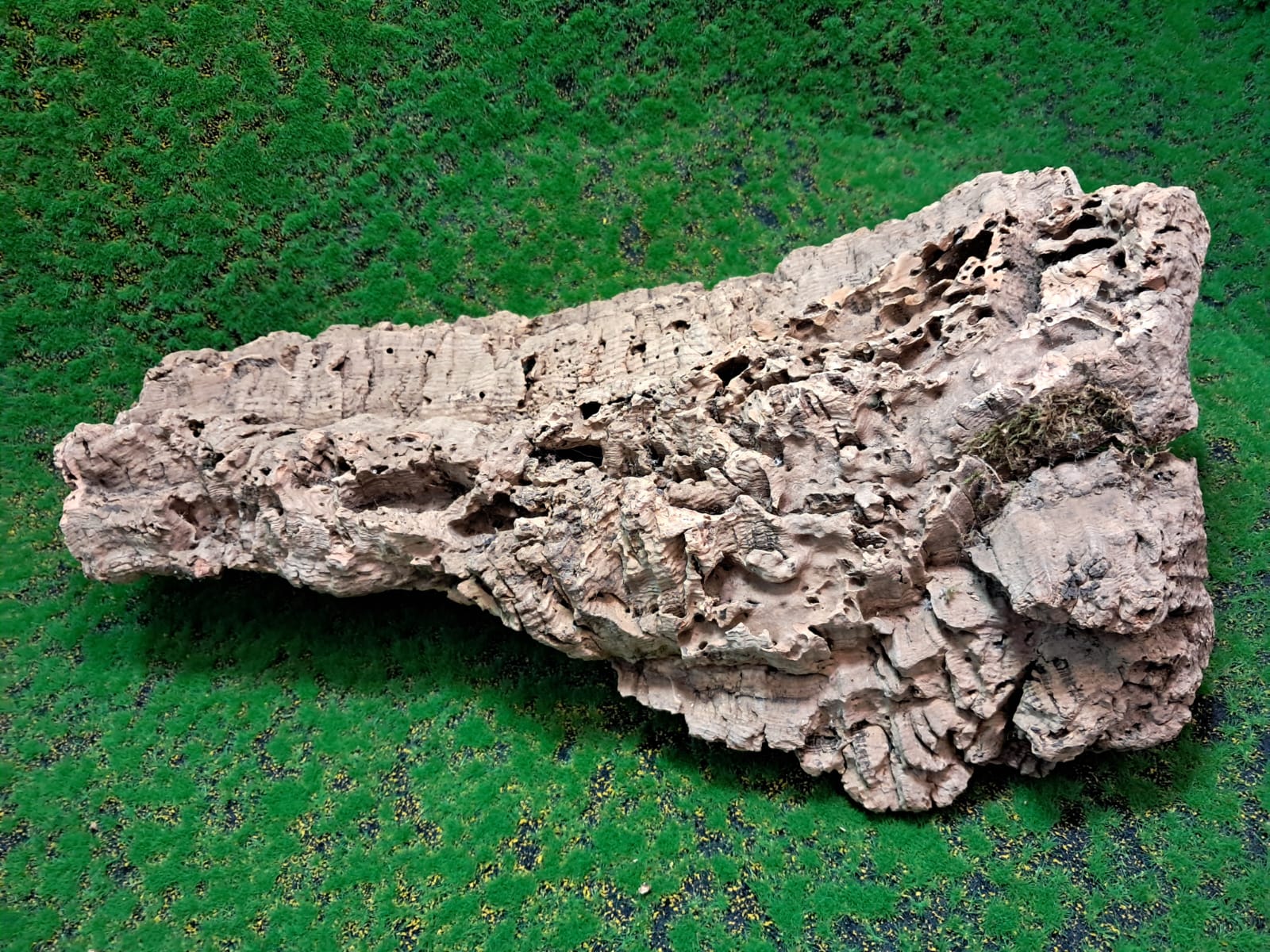 Cork Bark - Reptile Decor | Oh My Cresticles